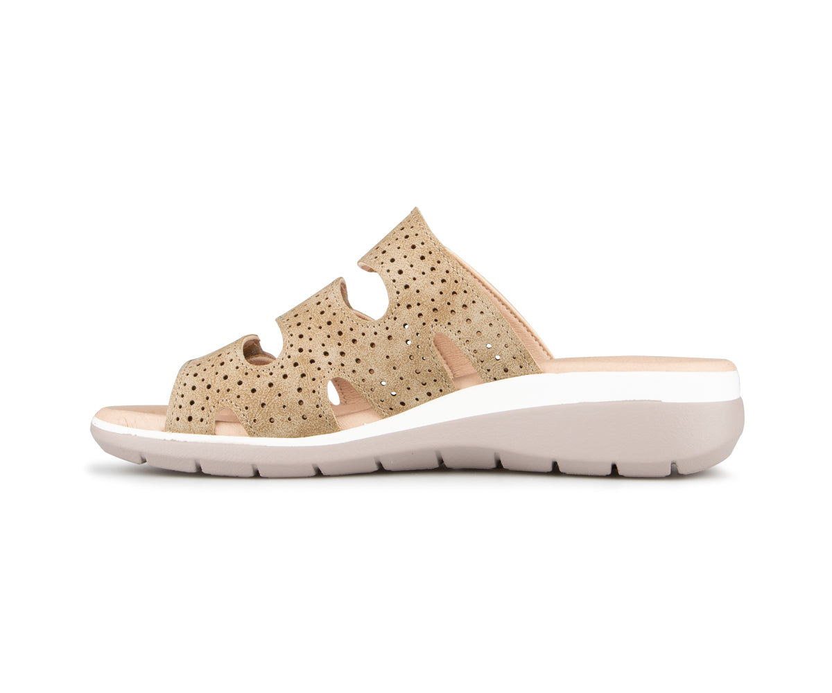 Colimbo - alberto mule sandals for women – Chaussures POP